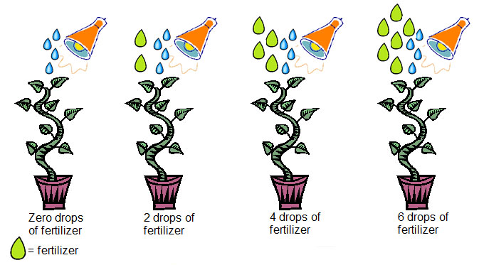 Image Is Of 4 Plants With Water And Fertilizer Being Added